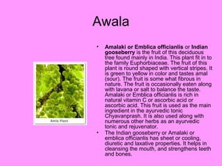 Uses of medicinal plants | PPT