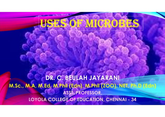 Uses of microbes | PDF