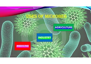 Uses of microbes | PDF