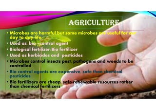 Uses of microbes | PDF