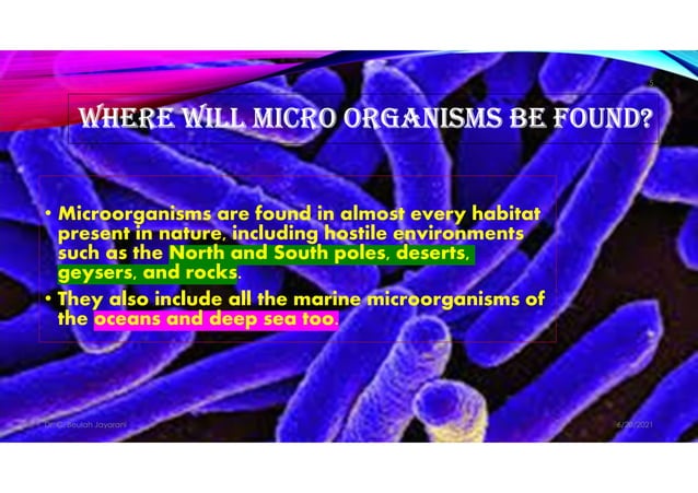 Uses of microbes | PDF