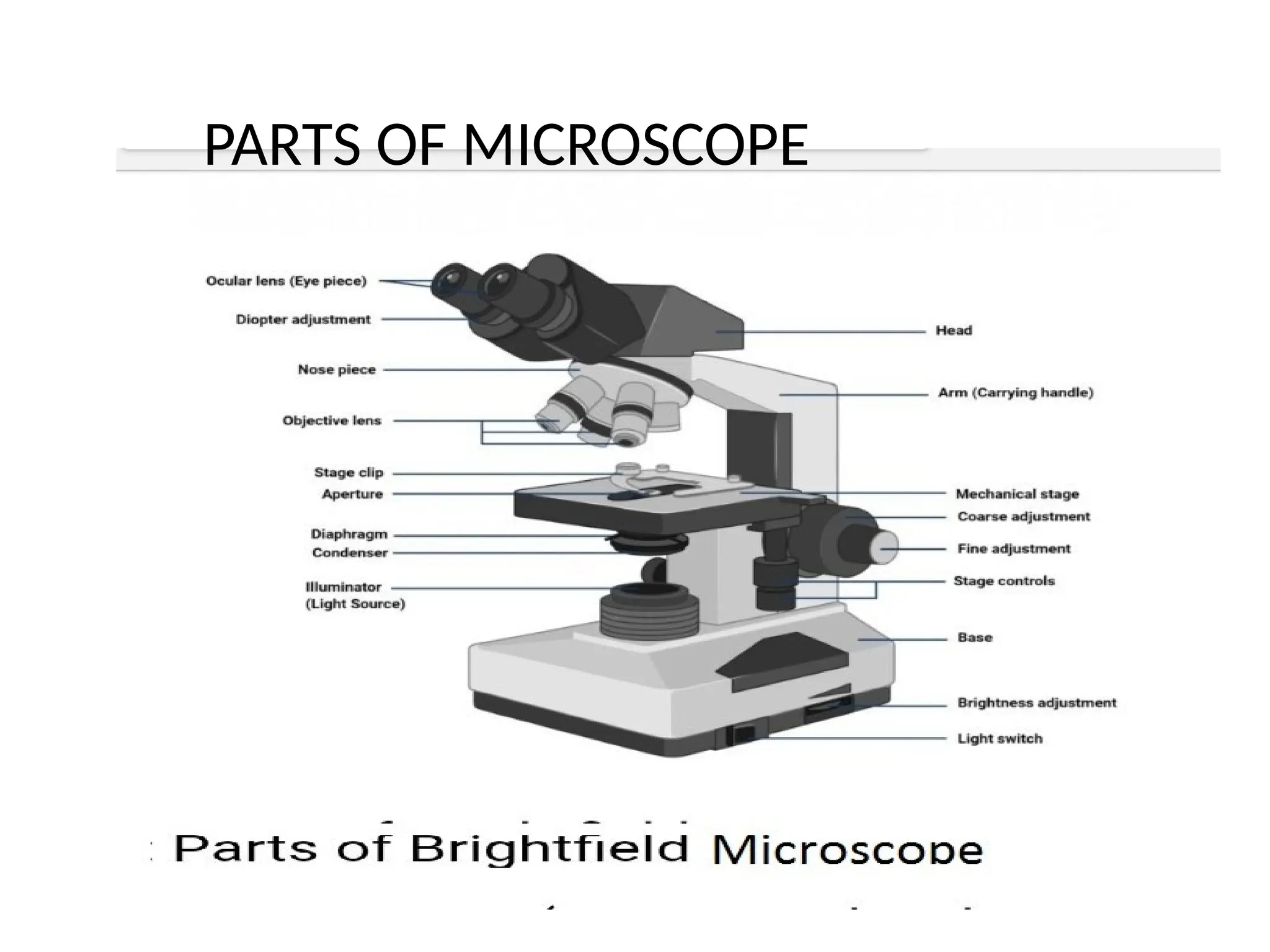 uses of microscopeOffice PowerPoint Presentation.pptx