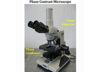 uses of microscopeOffice PowerPoint Presentation.pptx