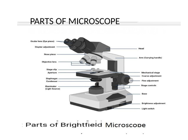 uses of microscopeOffice PowerPoint Presentation.pptx