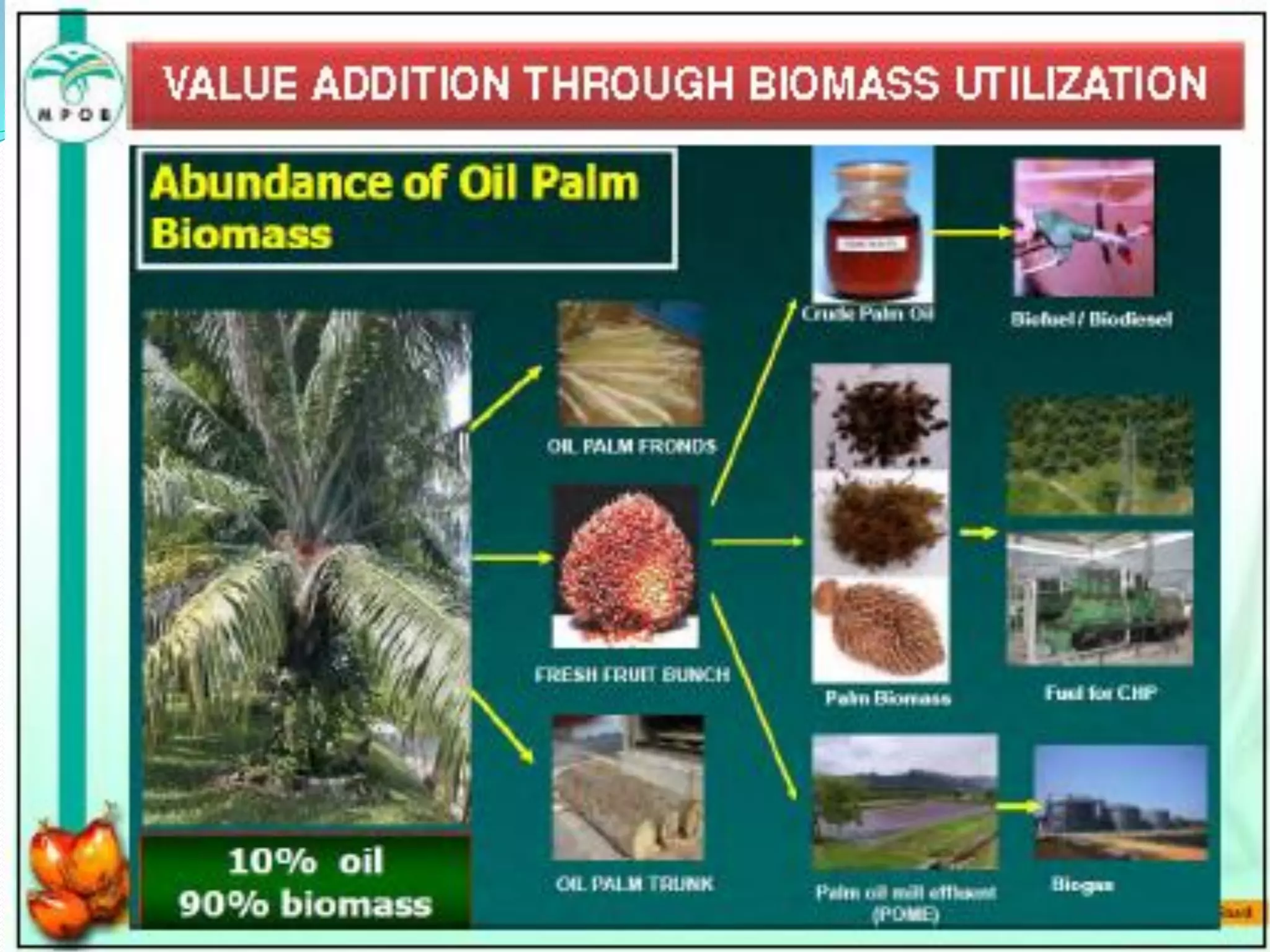 Uses of palm oil in food products | PPT