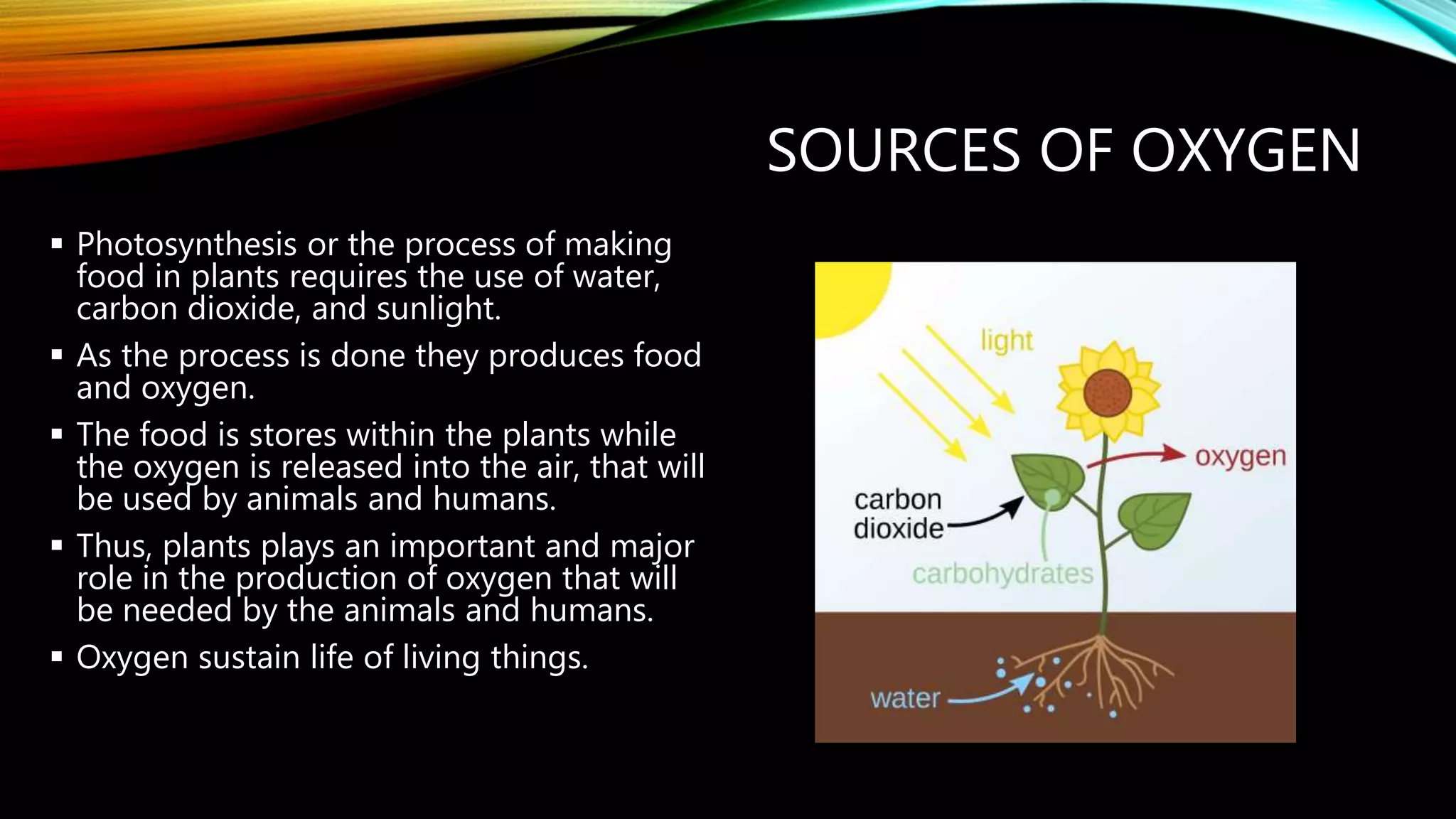 Uses of plants | PPTX