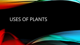 Uses of plants | PPTX