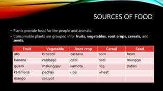 Uses of plants | PPTX