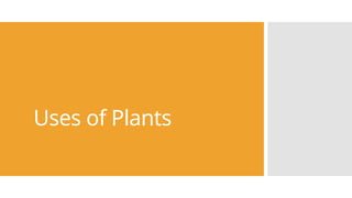 Primary 1 Science Various uses of plants | PPTX