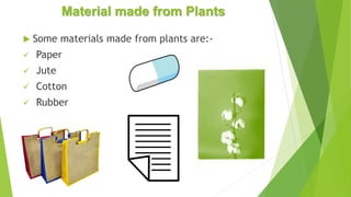Uses of Plants Khushi Bose VI - C | PPSX