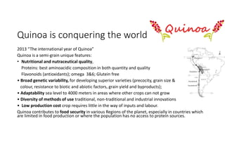 Uses of quinoa in Peru_17.8.2017
