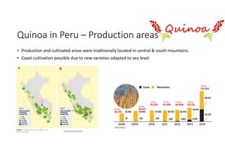 Uses of quinoa in Peru_17.8.2017