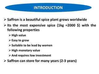 Uses of saffron in processed foods | PDF | Food & Drink