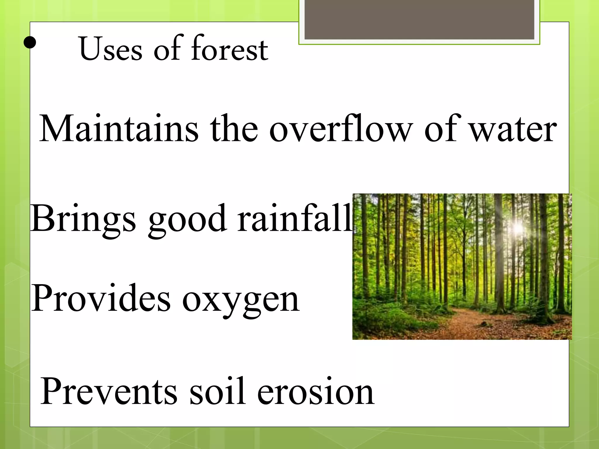 Uses of Forest.pptx
