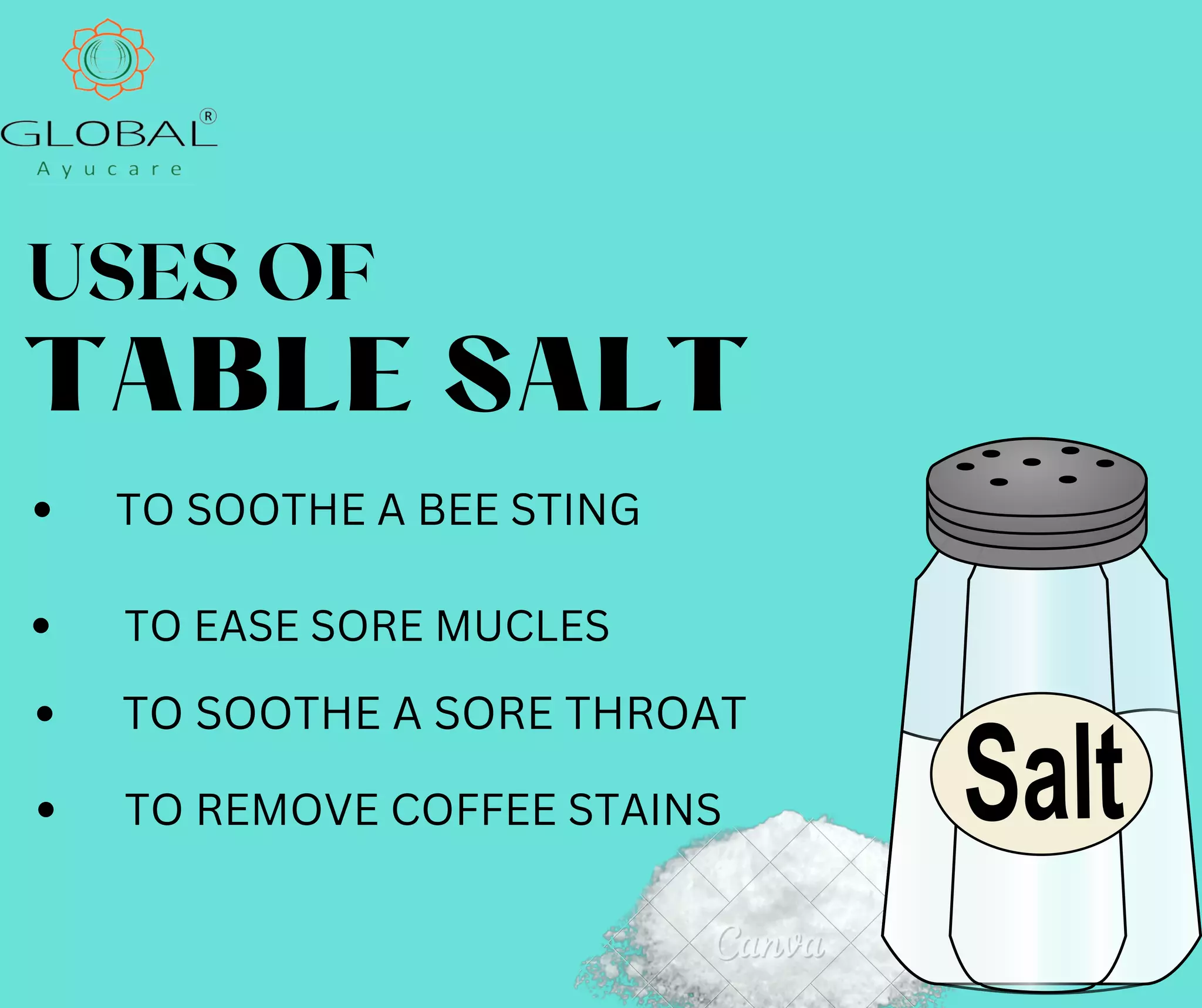 USES OF TABLE SALT | PDF