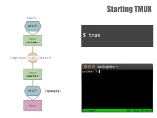 Uses of tmux explained | PPT