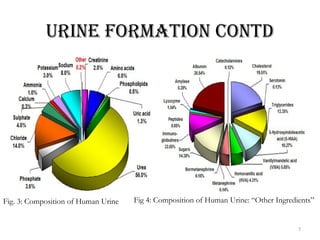 Uses of urinalysis in clinical chemistry new | PPT