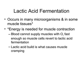 Use this one_respiration & fermentation | PPT