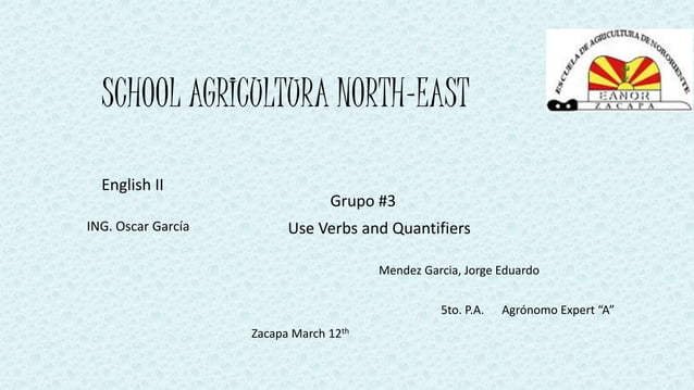 Use verbs and Quantifiers | PPTX