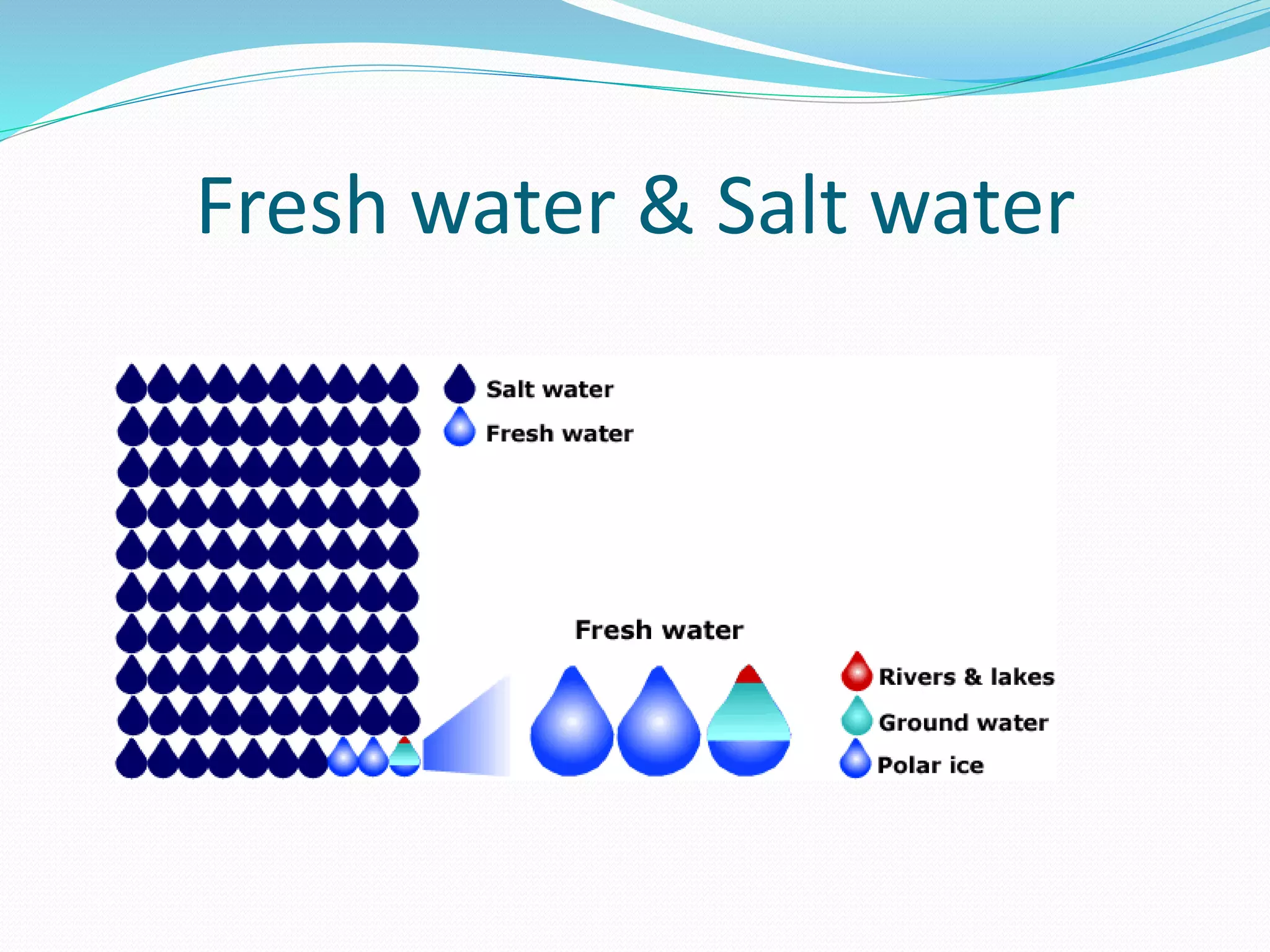 Use Water Wisely Presentation | PPTX