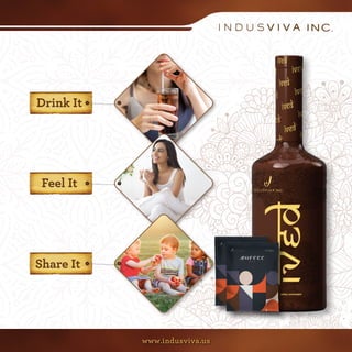 IndusViva USA Business Plan +91744 777 7779 | PDF