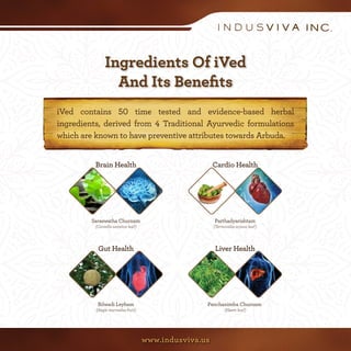 IndusViva USA Business Plan +91744 777 7779 | PDF