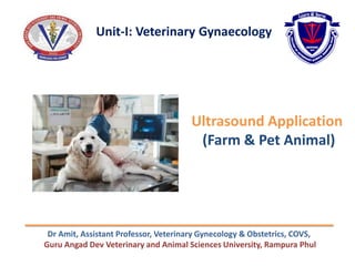 Ultrasonography usage in veterinary gynaecology .pdf