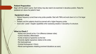 USG - Kidney.pptx