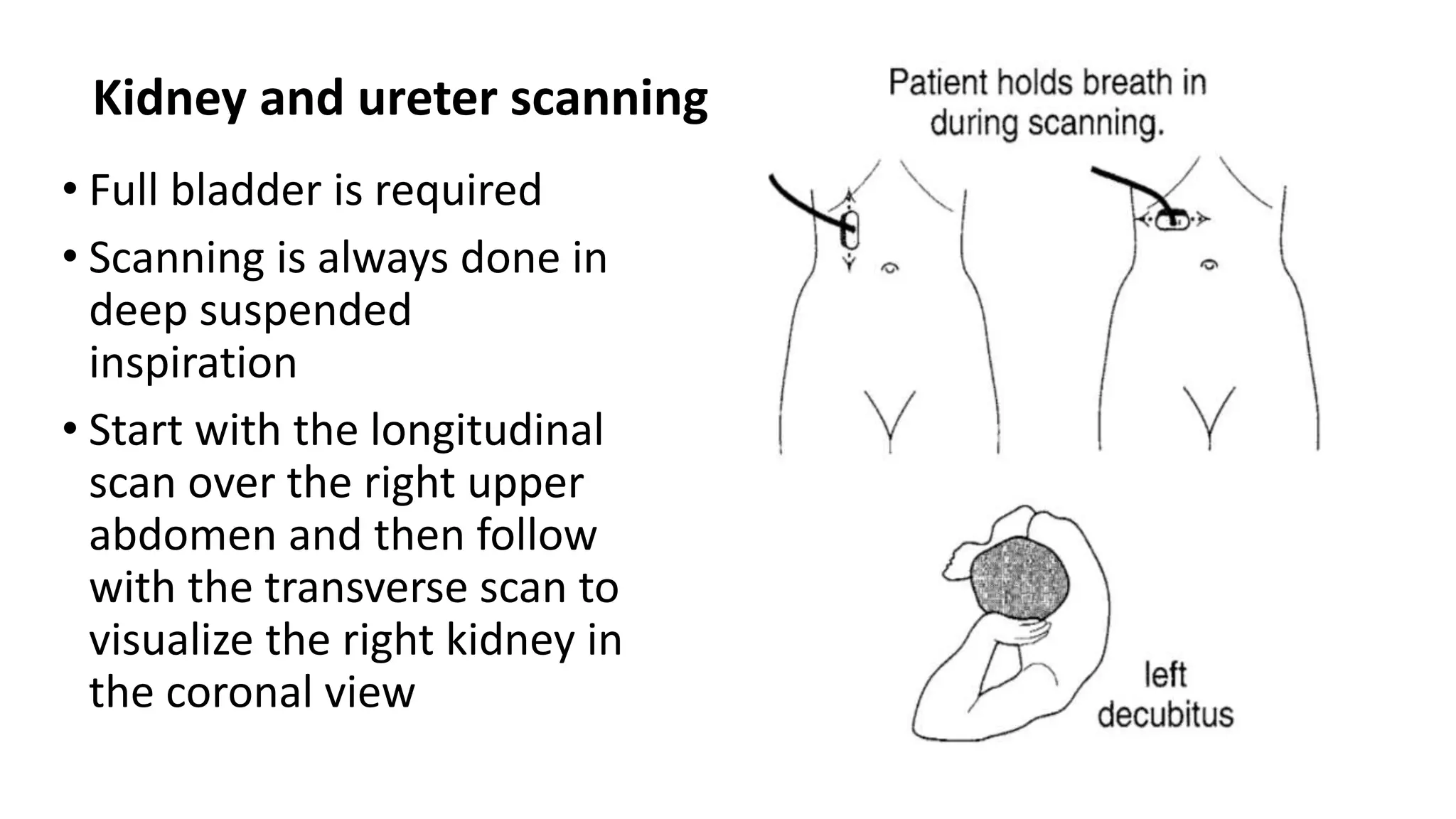 Ultrasound Normal Anatomy of Major Organs | PPTX