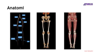 USG Arteri Extremitas Bawah/Inferior | PPTX