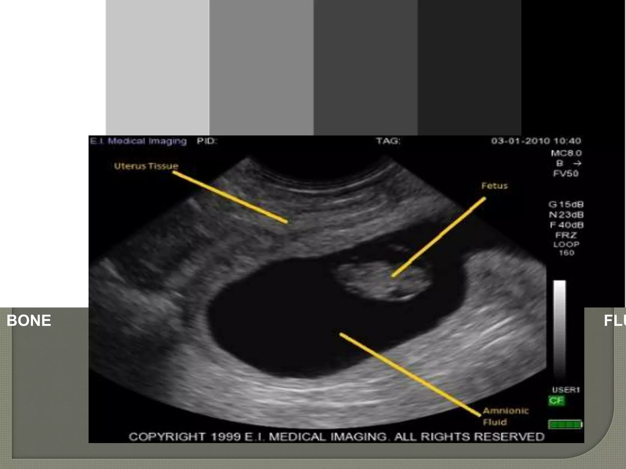 Usg diplay modes | PPTX