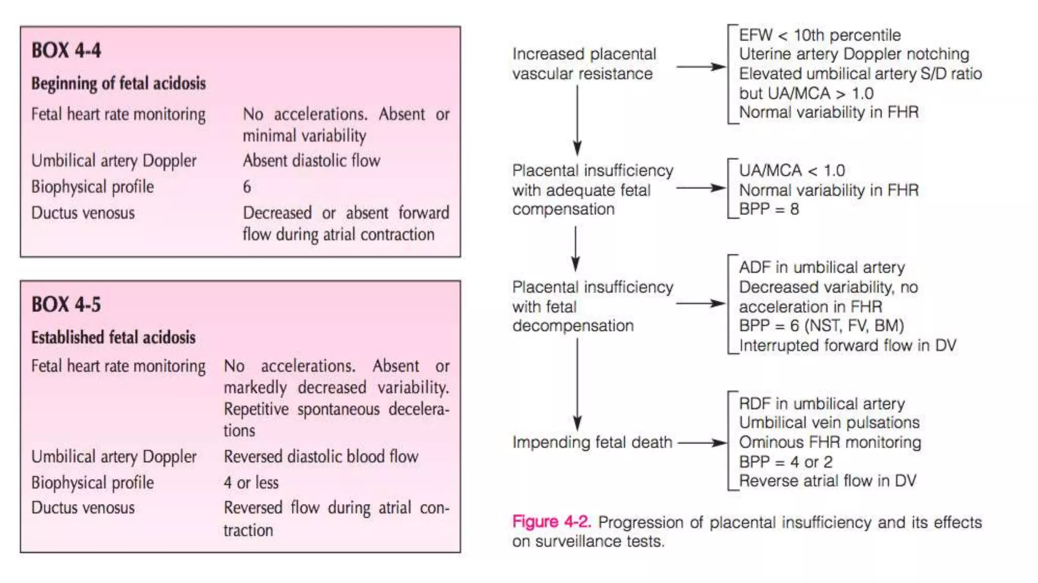 Doppler Ultrasound of Umbilical Artery | PPTX