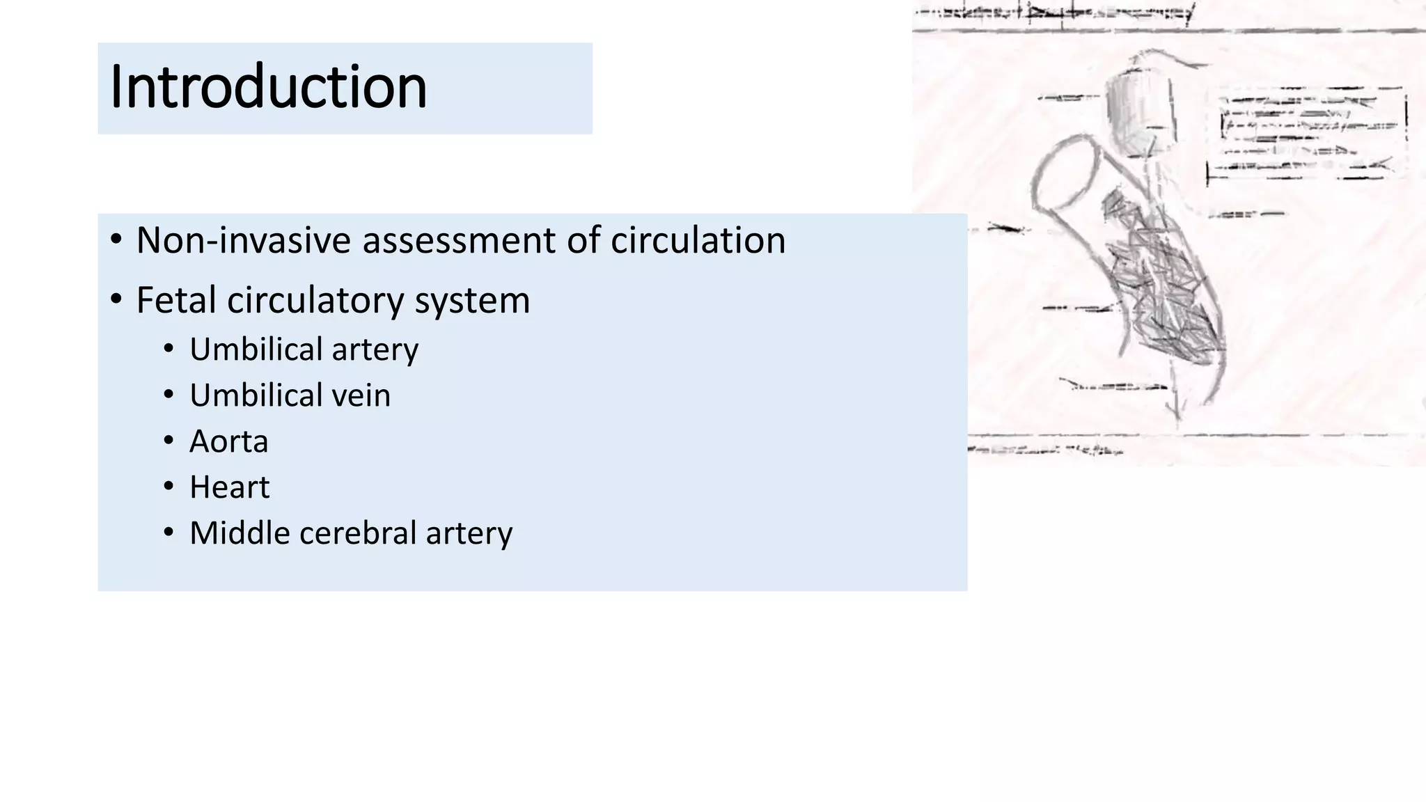 Doppler Ultrasound of Umbilical Artery | PPTX