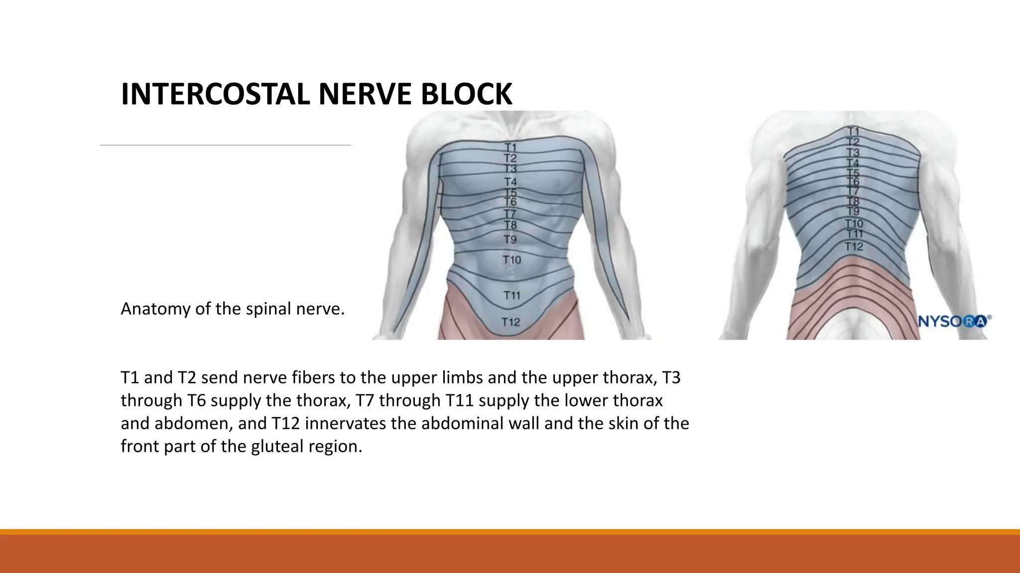 USG GUIDED NERVE BLOCKS PEC 1 PEC 2 BLOCK | PPTX