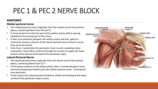 USG GUIDED NERVE BLOCKS PEC 1 PEC 2 BLOCK | PPTX