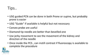 Usg guided pcn insertion [auto saved] | PPTX