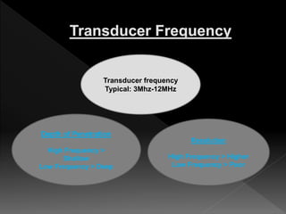 Usg head and neck | PPTX