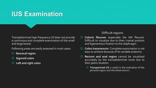 Diagnostics in Inflammatory Bowel Disease (IBD): Ultrasound | PPTX