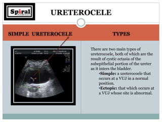 Usg image gallery nov 16 | PPT