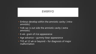 Usg in first trimester | PPTX