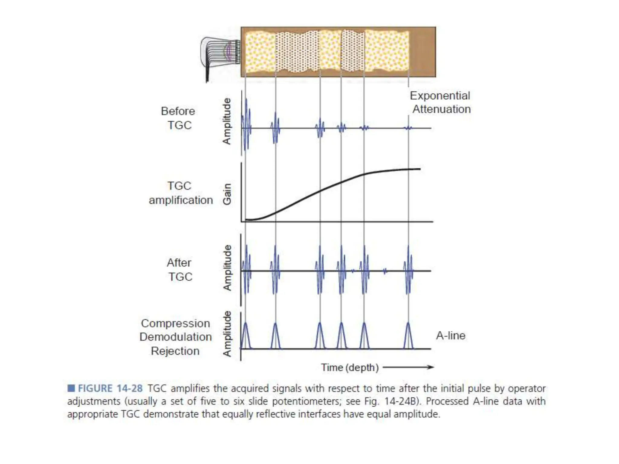 USG basics instruments AND PRINCIPLES.pptx