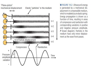 USG basics instruments AND PRINCIPLES.pptx