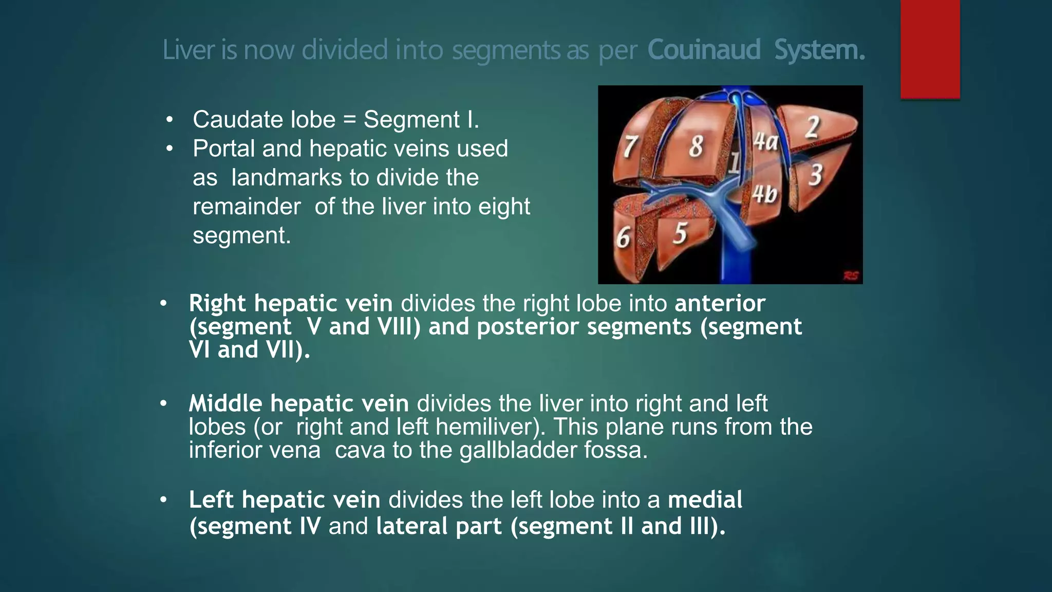 Ultrasonography of liver | PPTX