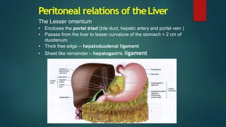 Ultrasonography of liver | PPTX