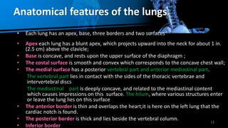 usg Lung.pptx