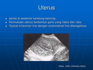 USG dasar dalam kehamilan | PPTX