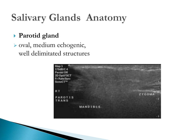 Usg neck | PPTX | Thyroid Disorders | Endocrine and Metabolic Diseases
