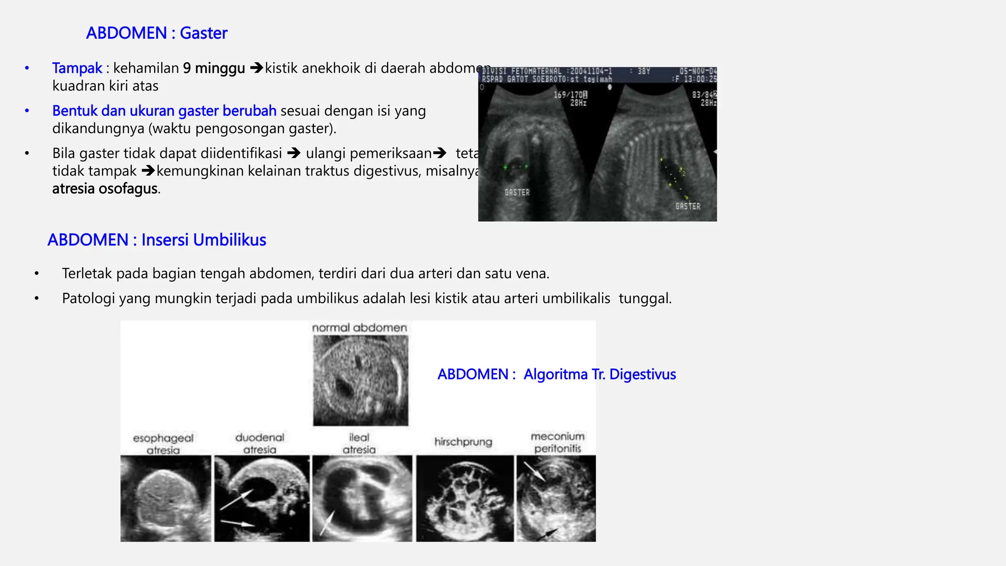 USG obndnbdndndndstetri Dasar terbatas.pptx