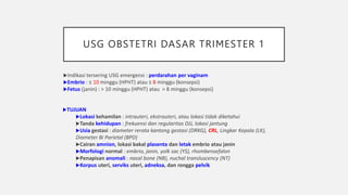 USG obndnbdndndndstetri Dasar terbatas.pptx
