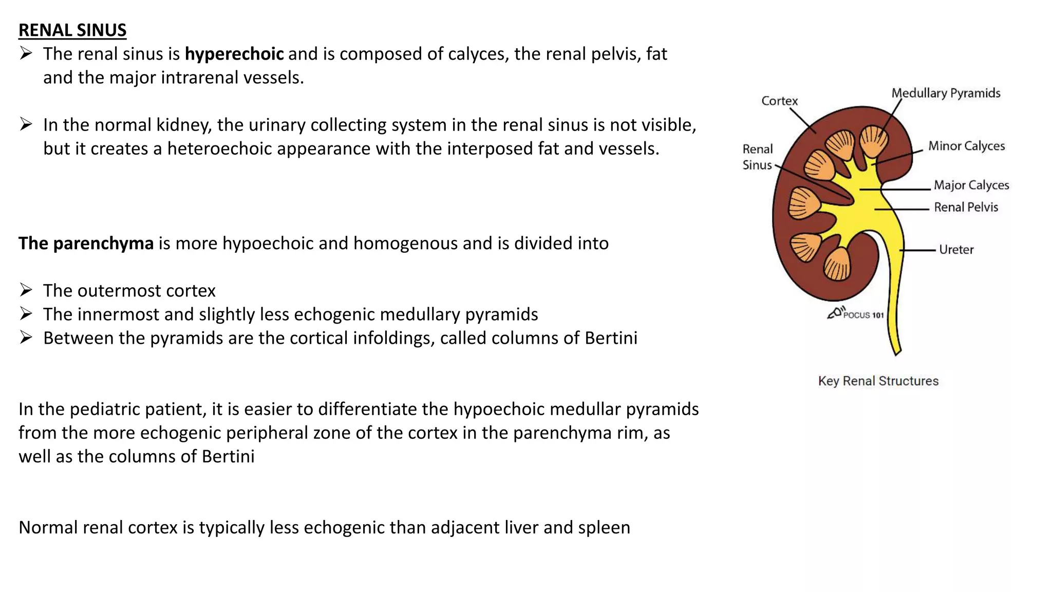 USG OF KIDNEYS.pptx